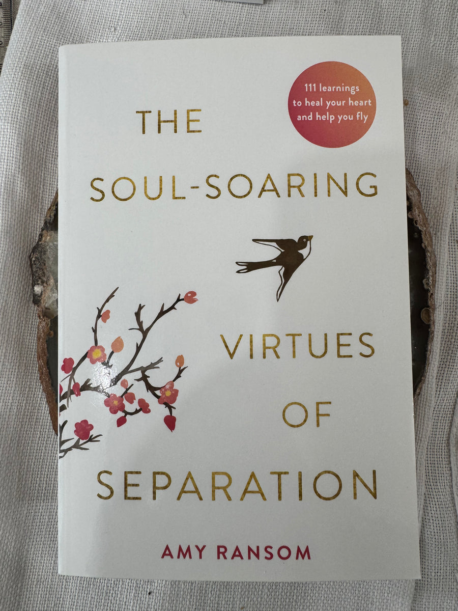Soul Soaring Virtues of Separation. 111 Learnings to Heal Your Heart a ...