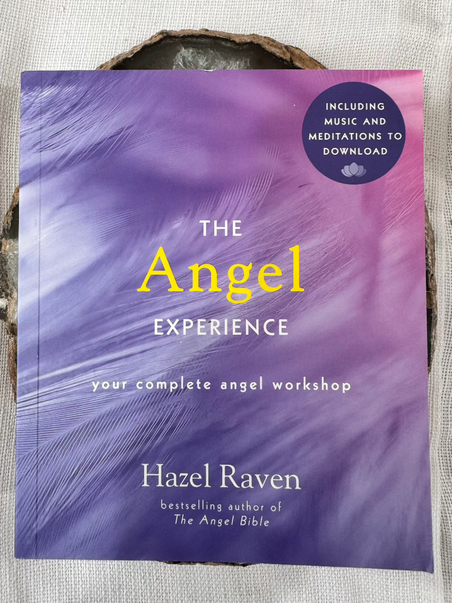 Angel Experience. Your Complete Angel Workshop Book with Audio Downloa ...