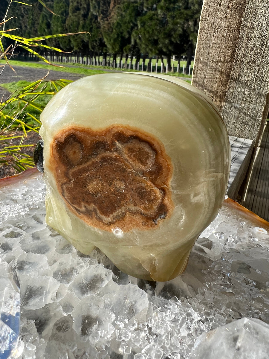 Green Onyx Skull | Black Obsidian Eyes – Earth Elements NZ