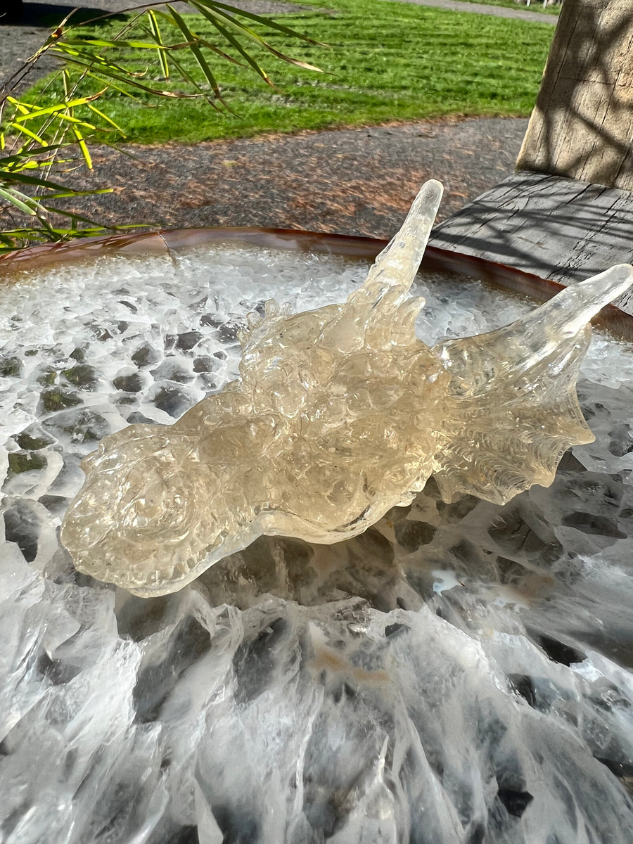 Clear Quartz Dragon | set in resin – Earth Elements NZ