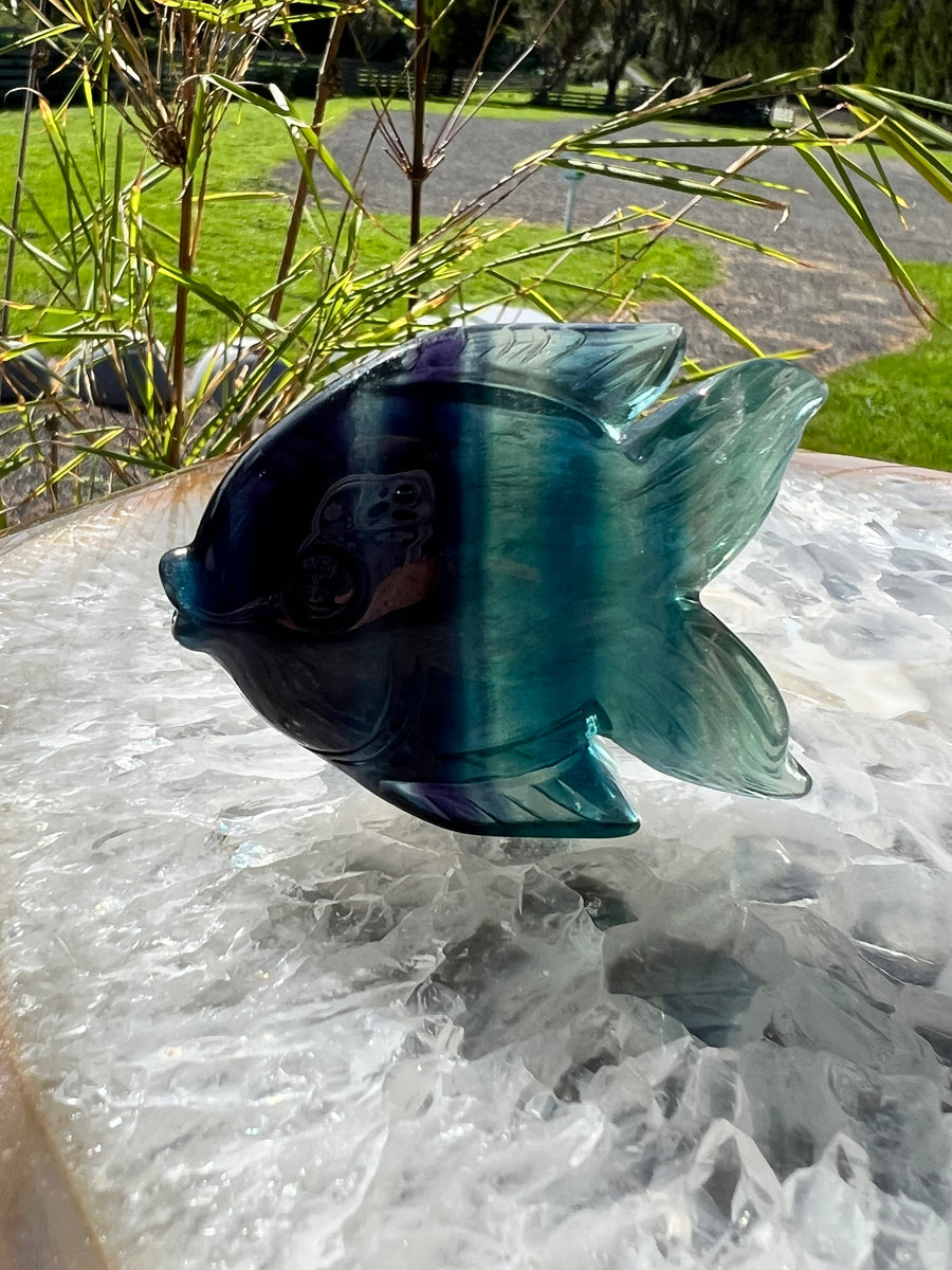 Blue Banded Fluorite Fish – Earth Elements NZ