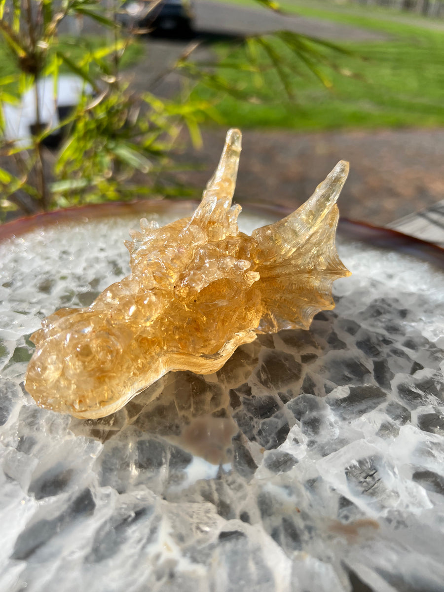 Citrine Dragon | resin – Earth Elements NZ