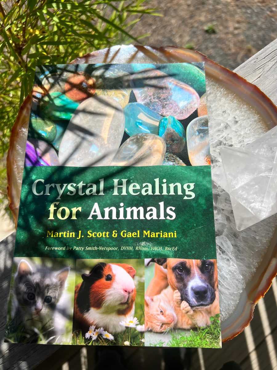 Crystal Healing for Animals | Martin J Scoot and Gael Mariani – Earth ...