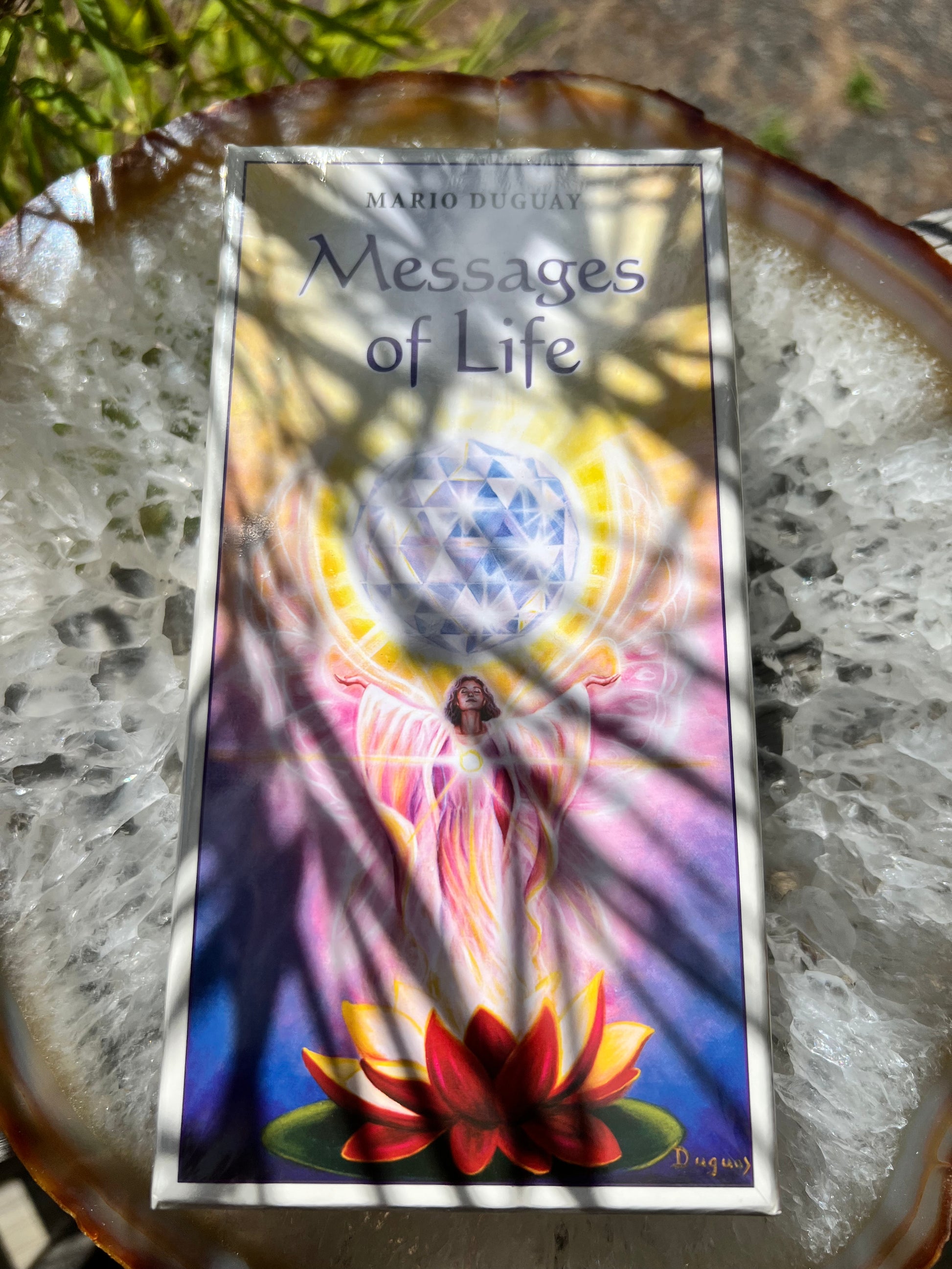 Messages of Life Affirmation Guidance Cards. Mario Duguay – Earth ...